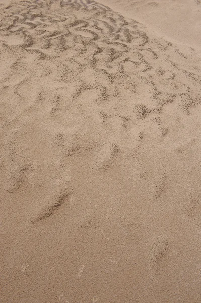 Footsteps curved path Stock Photos, Royalty Free Footsteps curved path ...