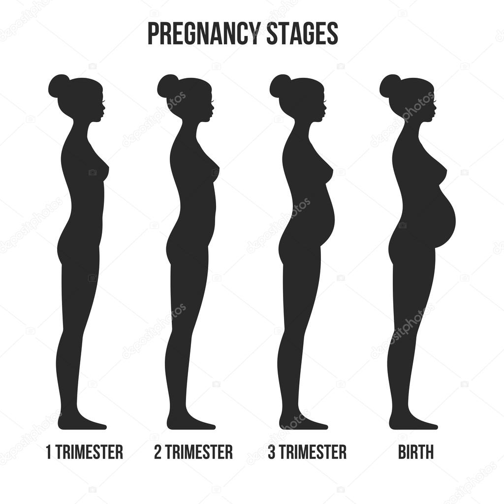 Pregnancy Stages and Birth Infographics Silhouette. Vector. Stock ...