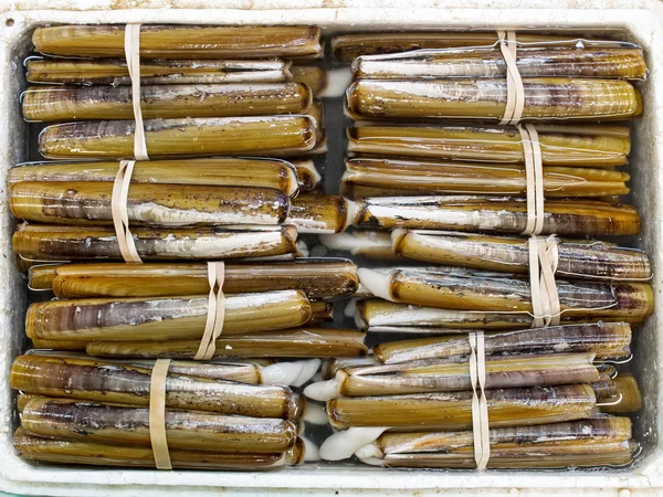 Razor clam Stock Photos, Royalty Free Razor clam Images | Depositphotos