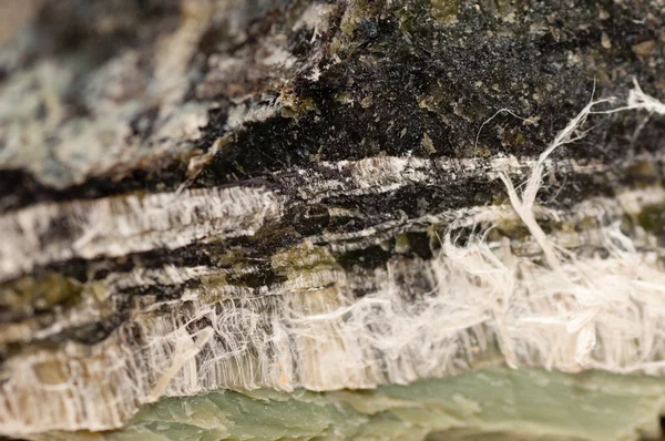 Asbestos fiber Images - Search Images on Everypixel