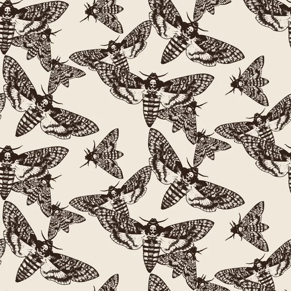 Death moth Stock Photos, Royalty Free Death moth Images | Depositphotos