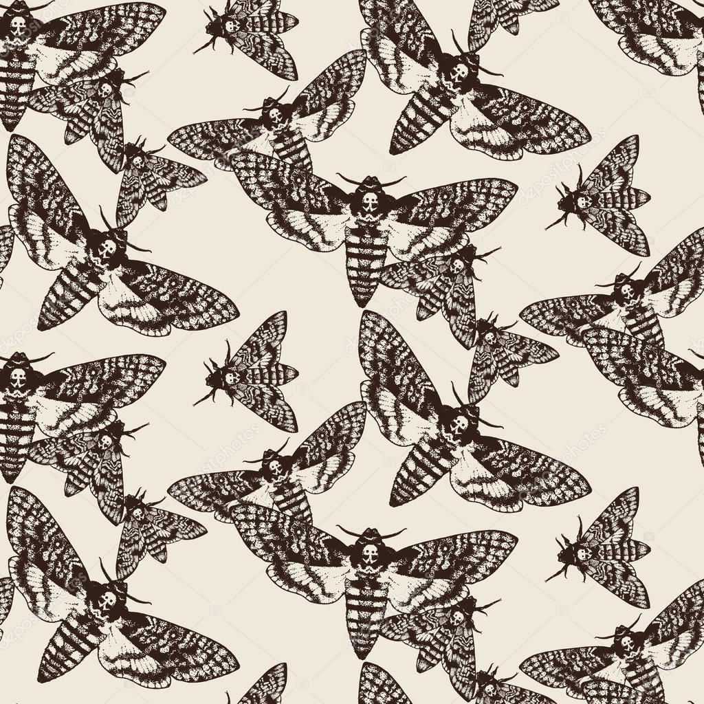Hand drawn Deaths head hawk moths seamless pattern illustration ...