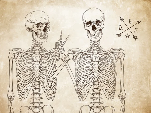 Human skeleton posing over old grunge paper background vector — Stock ...