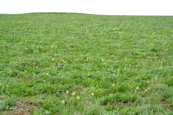 Cultivo de la pradera fotos de stock, imágenes de Cultivo de la pradera ...
