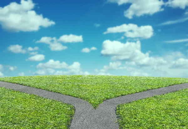 Fork in the road Stock Photos, Royalty Free Fork in the road Images ...