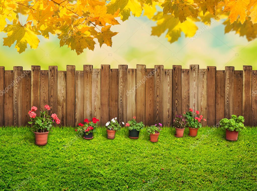 Back Yard Background