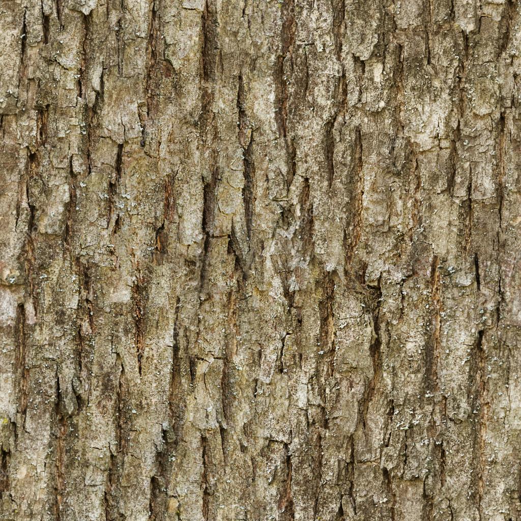 Cherry Bark Texture