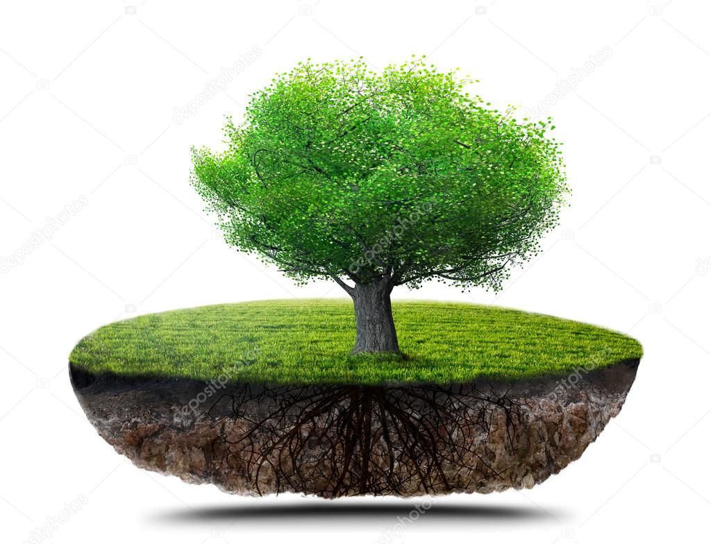 Tree with roots Stock Photo by ©varuna 54543345