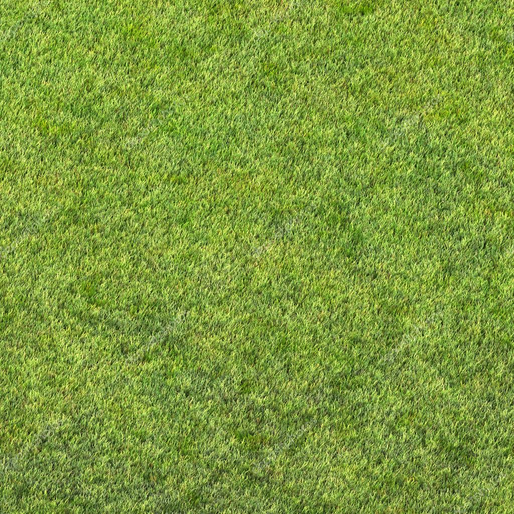 Grass texture Stock Photo by ©varuna 54543397