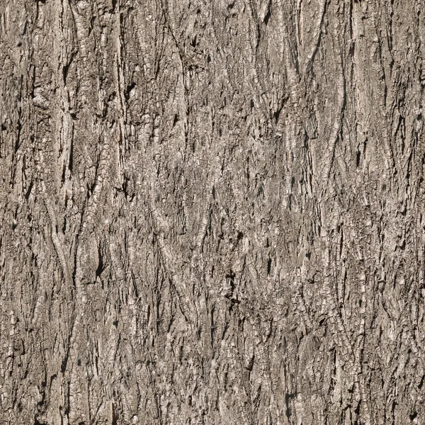Seamless Bark Tree Tileable Texture Stock Photo by ©varuna 228673638