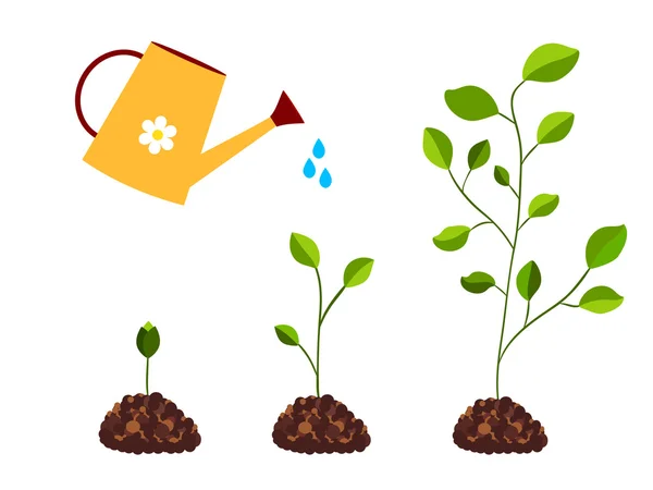 Growing Plants From Seeds Clip Art