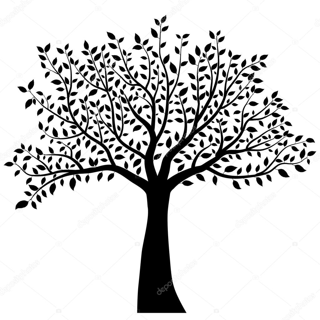 Vectores: silueta arbol | vector silueta de árbol — Vector de stock ...