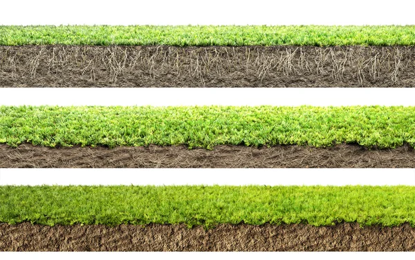 Layers of grass Stock Photos, Royalty Free Layers of grass Images ...