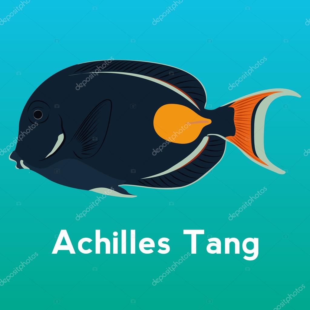 Achilles Tang Fish