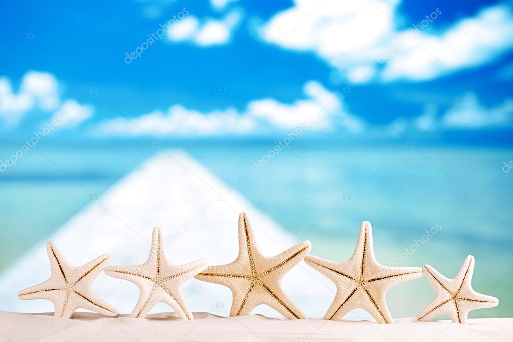 White starfish with ocean — Stock Photo © lvenks #68323281