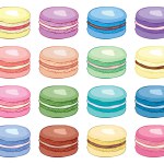 Vector macarons — Stock Vector © dmstudio #18646413