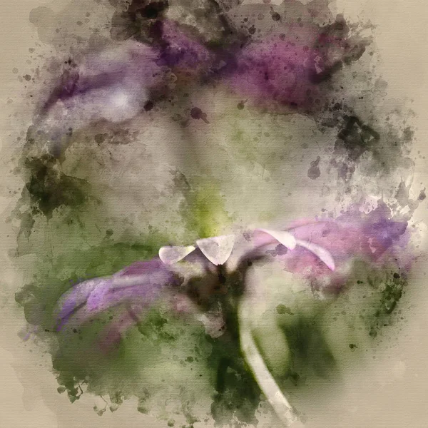 32,258,146 illustrations de Image artistique | Depositphotos