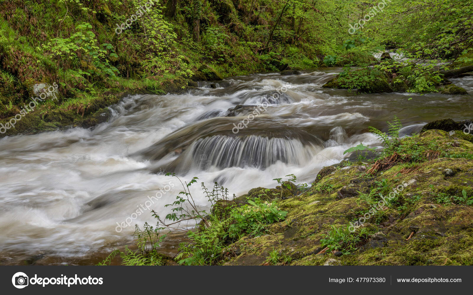 Beautiful Spring Landscape Image Watrersmeet Devon England Two Rivers ...