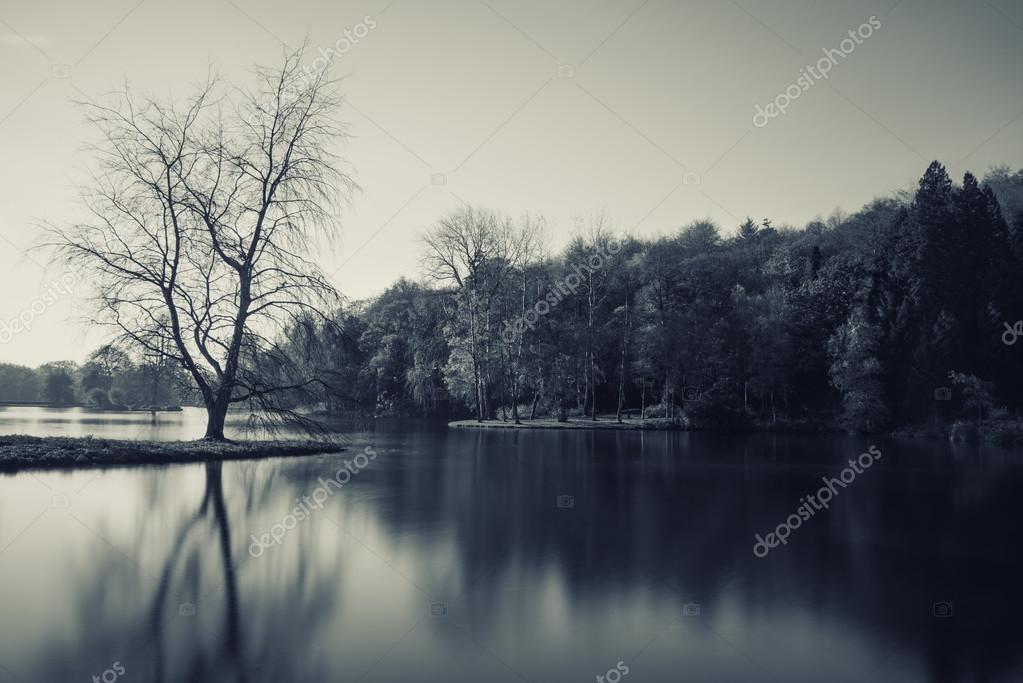 Monotonous Landscape