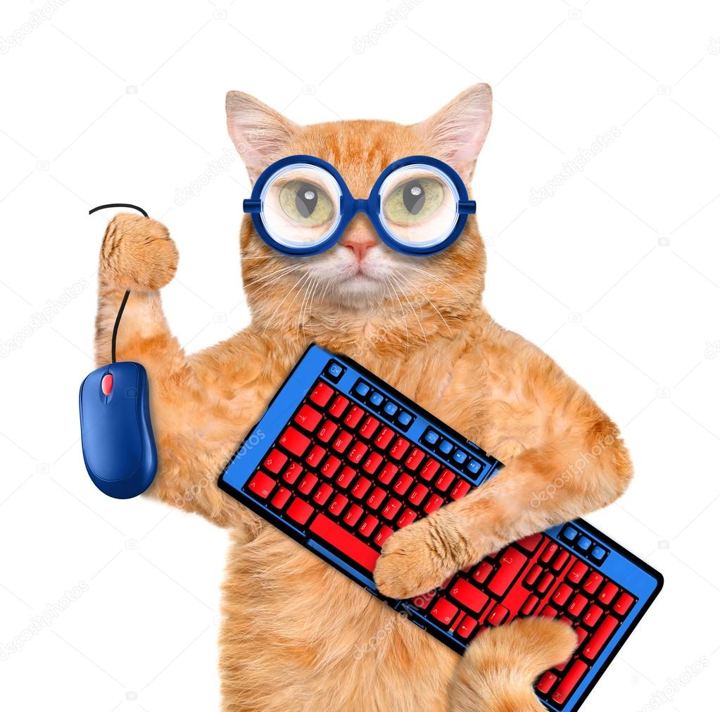 Gato con ratón de ordenador y teclado .: fotografía de stock © RasulovS ...