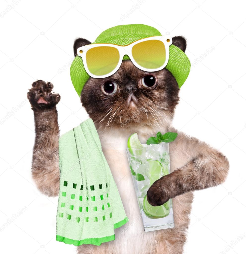 Cat with lemonade. Stock Photo by ©RasulovS 72037903