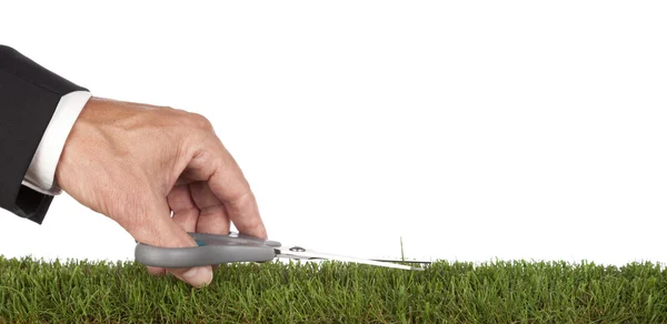 Perfection Stock Photos, Royalty Free Perfection Images | Depositphotos