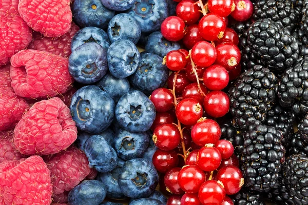 Different fresh berries as background Stock Photo by ©Preto_perola 13293845