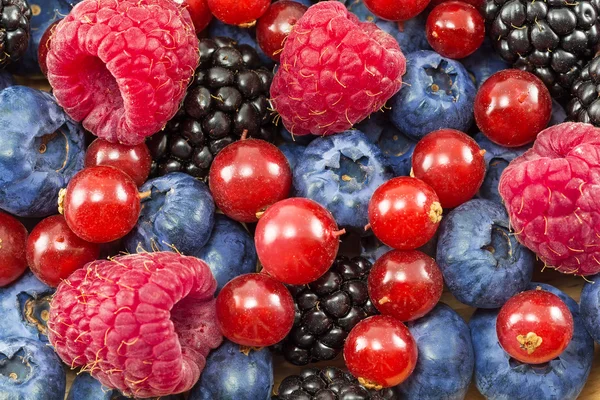 Different fresh berries as background Stock Photo by ©Preto_perola 13293845