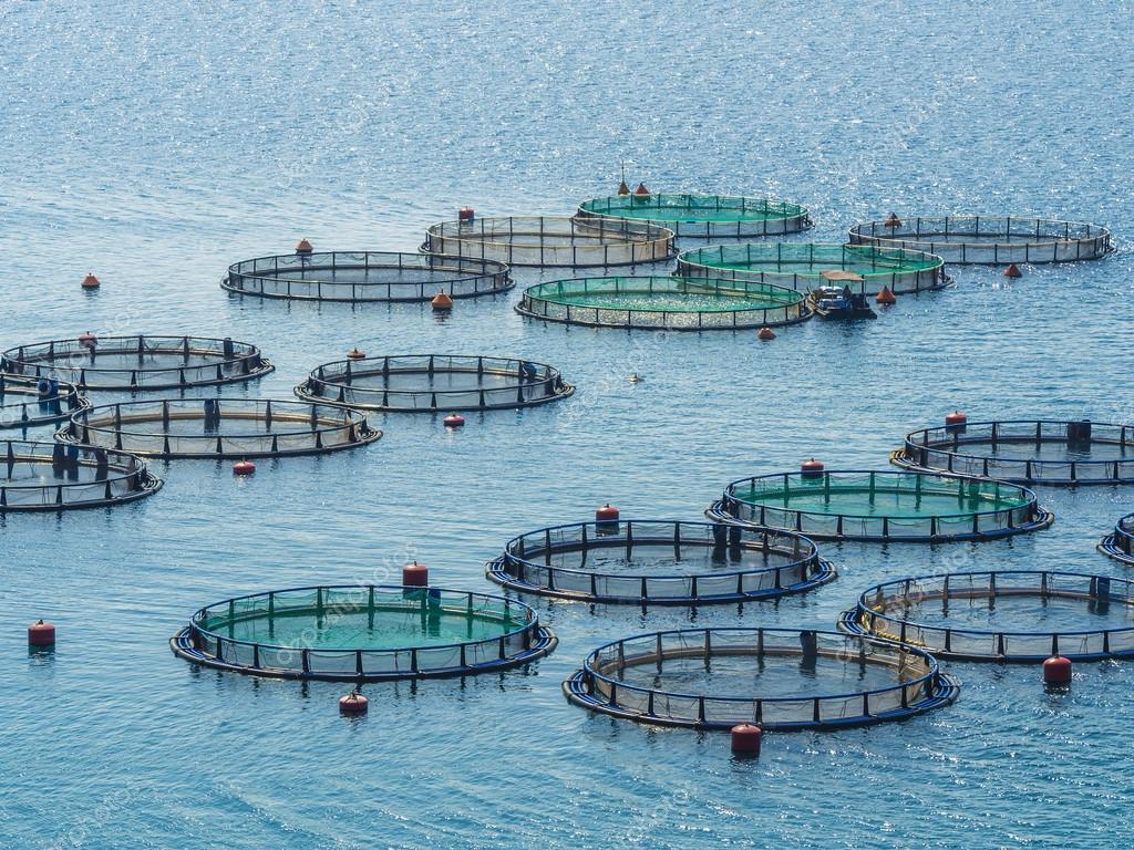 Download - Fish farming off the coast of Greece — Stock Image