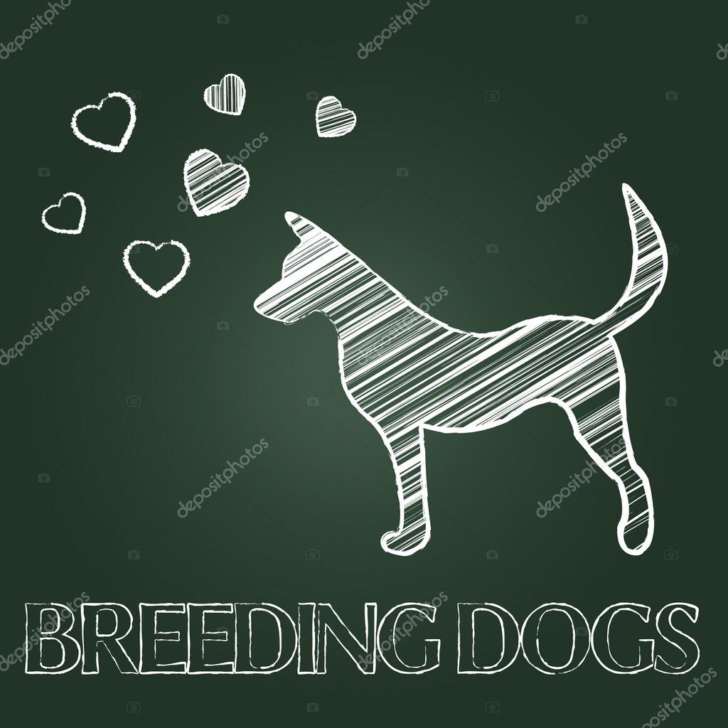 Breeding Dogs Means Mating Canines And Offspring — Stock Photo ...