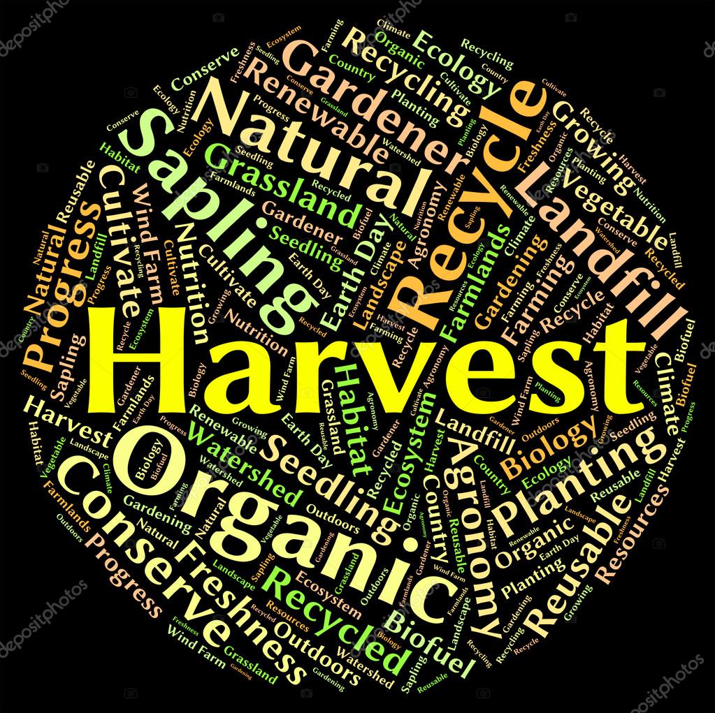 Harvest Word Means Produce Grains And Gather — Stock Photo ...