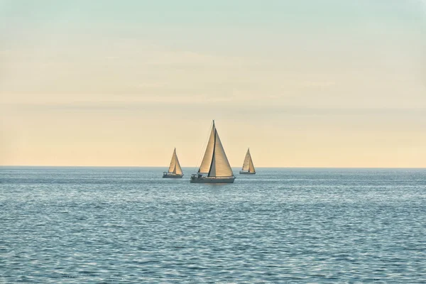 Sail of a sailing boat Stock Photo by ©svedoliver 23343590