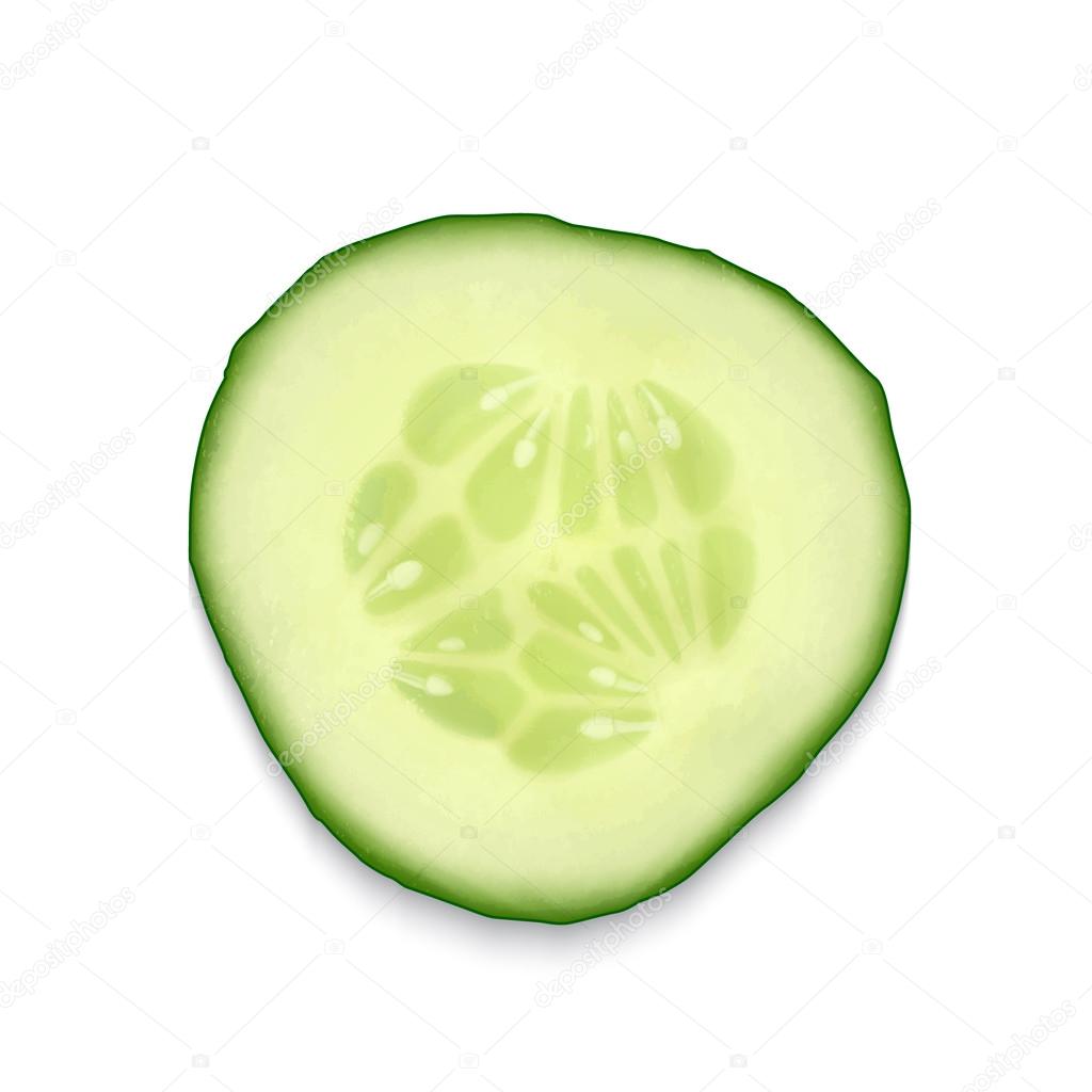 Cucumber slice Stock Vector by ©ecrow 74088117