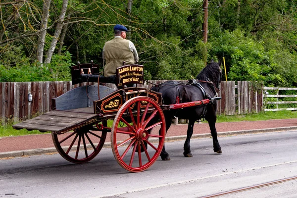 Driving horse cart Stock Photos, Royalty Free Driving horse cart Images ...