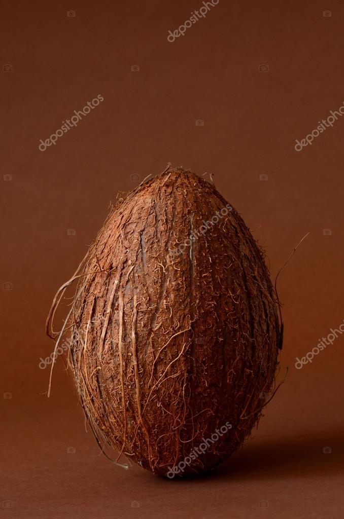 Single whole coconut Stock Photo by ©suti 119045174