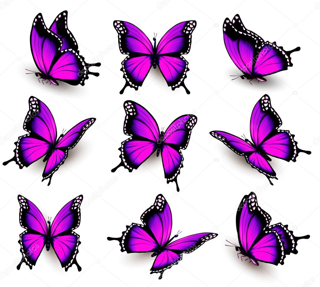 Hermosa mariposa rosa en diferentes posiciones. Vector. 2022