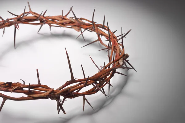 Crown of god Images - Search Images on Everypixel