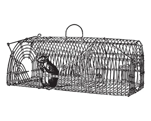 398 Rat trap Vector Images | Depositphotos