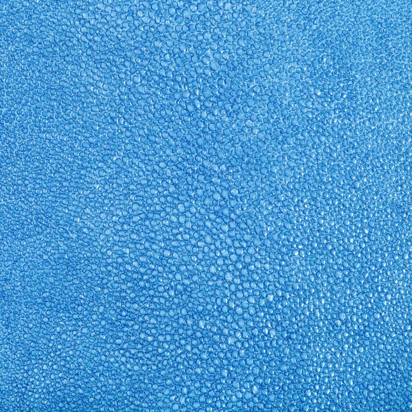 Stingray texture Stock Photos, Royalty Free Stingray texture Images ...
