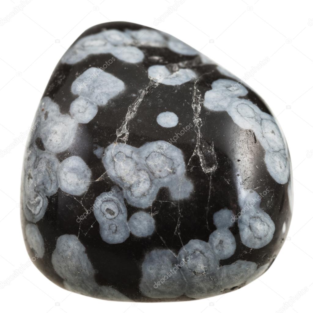 Polished snowflake obsidian mineral gemstone — Stock Photo © vvoennyy ...