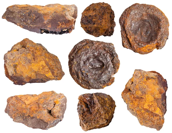Collection of various limonite stones Stock Photo by ©vvoennyy 142073914