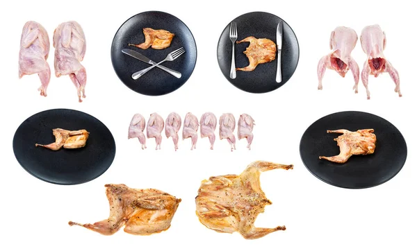 Pollo eviscerado fotos de stock, imágenes de Pollo eviscerado sin ...