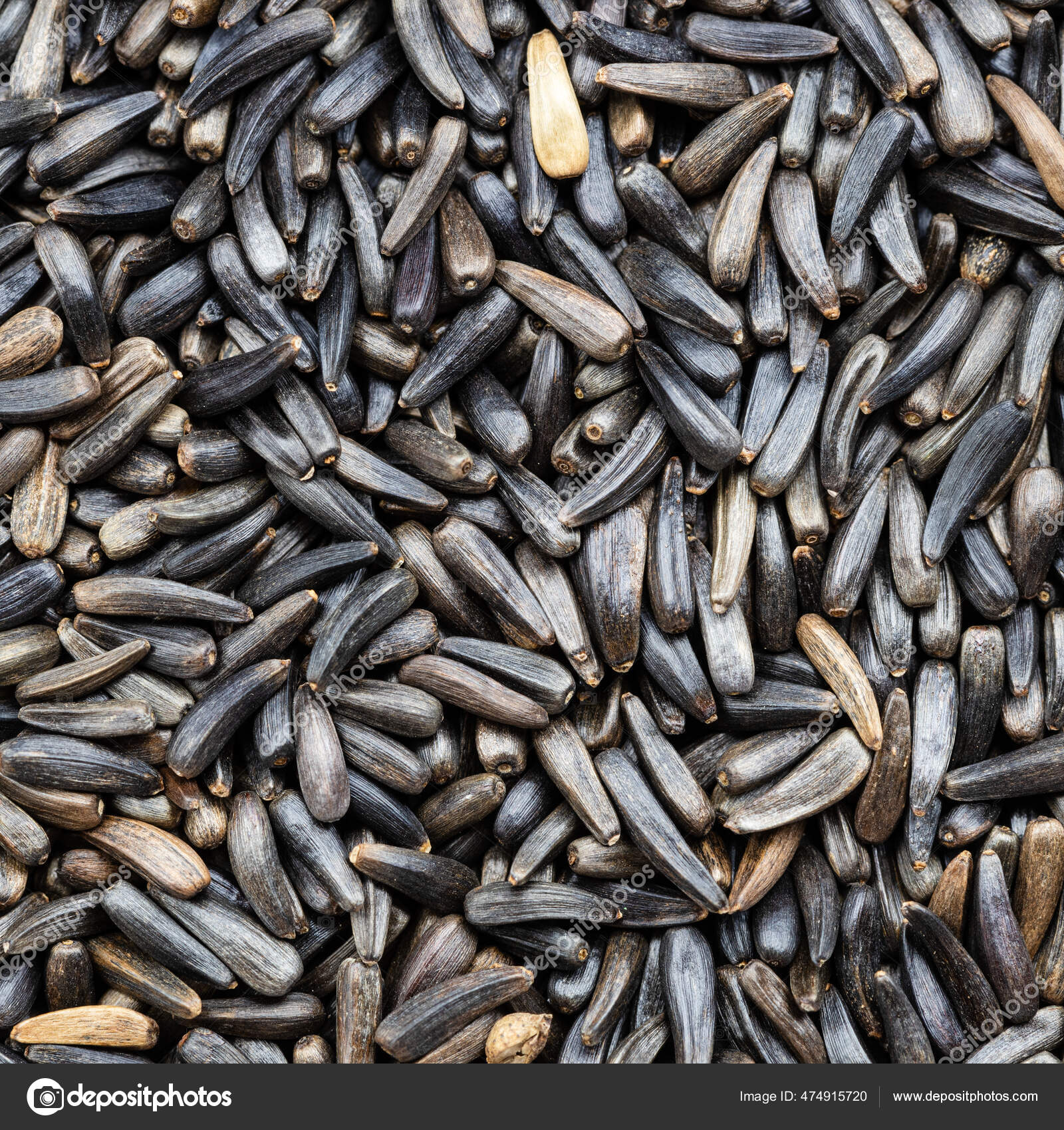 Square Food Background Whole Grain Niger Seeds Guizotia Abyssinica ...