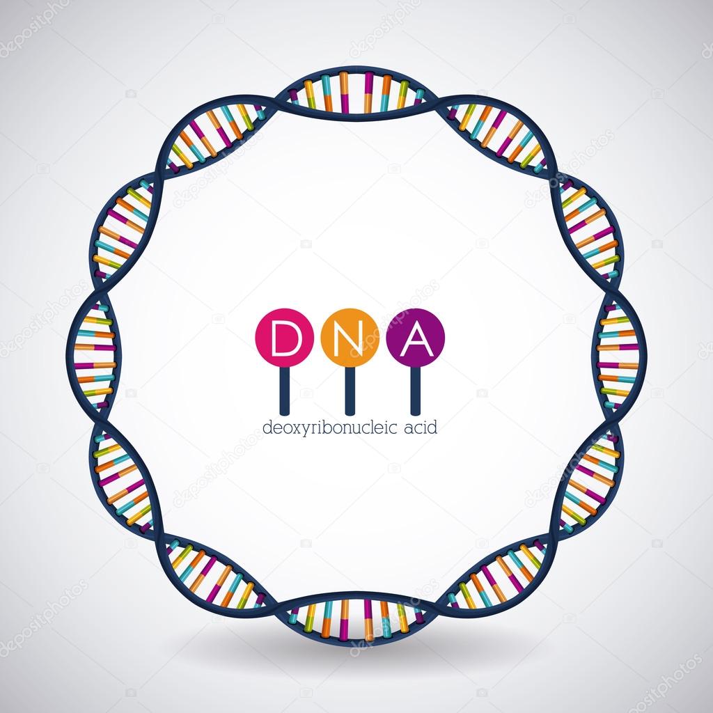 Dna circle structure chromosome design Stock Vector Image by ...