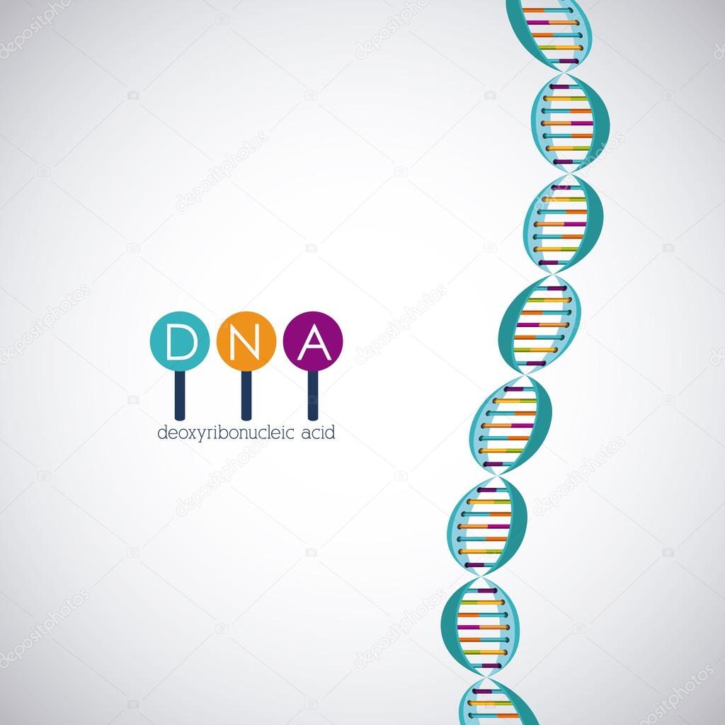 Dna structure chromosome design Stock Vector by ©grgroupstock 123818836