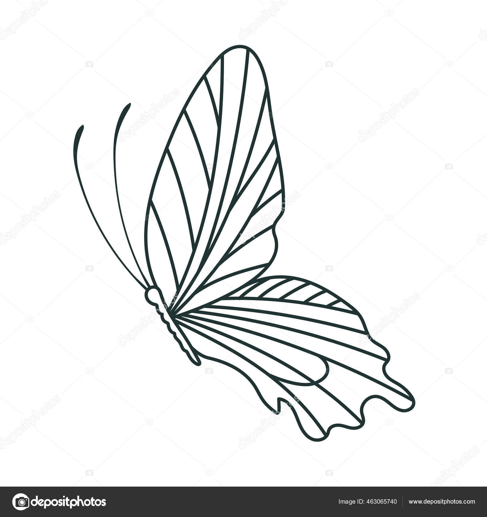 Lovely side butterfly Stock Vector by ©grgroupstock 463065740