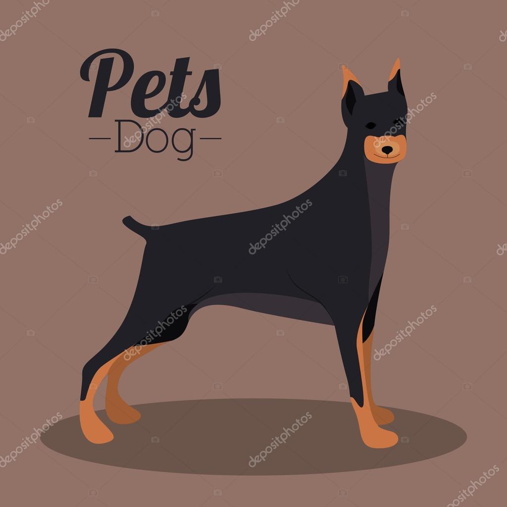 Pets design Stock Vector by ©grgroupstock 52084129