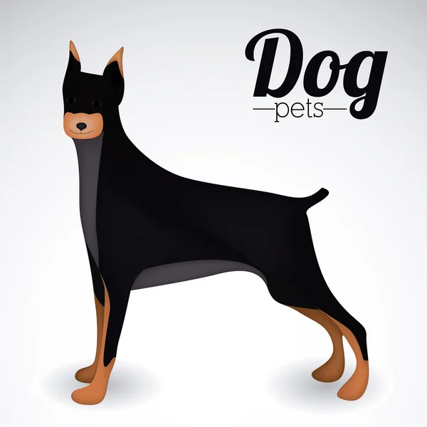 Pets design Stock Vector by ©grgroupstock 52635429