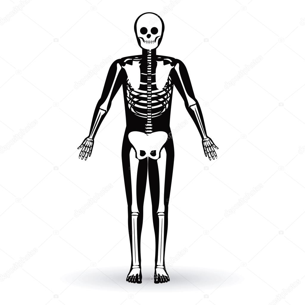 Body design Stock Vector Image by ©grgroupstock #53415865