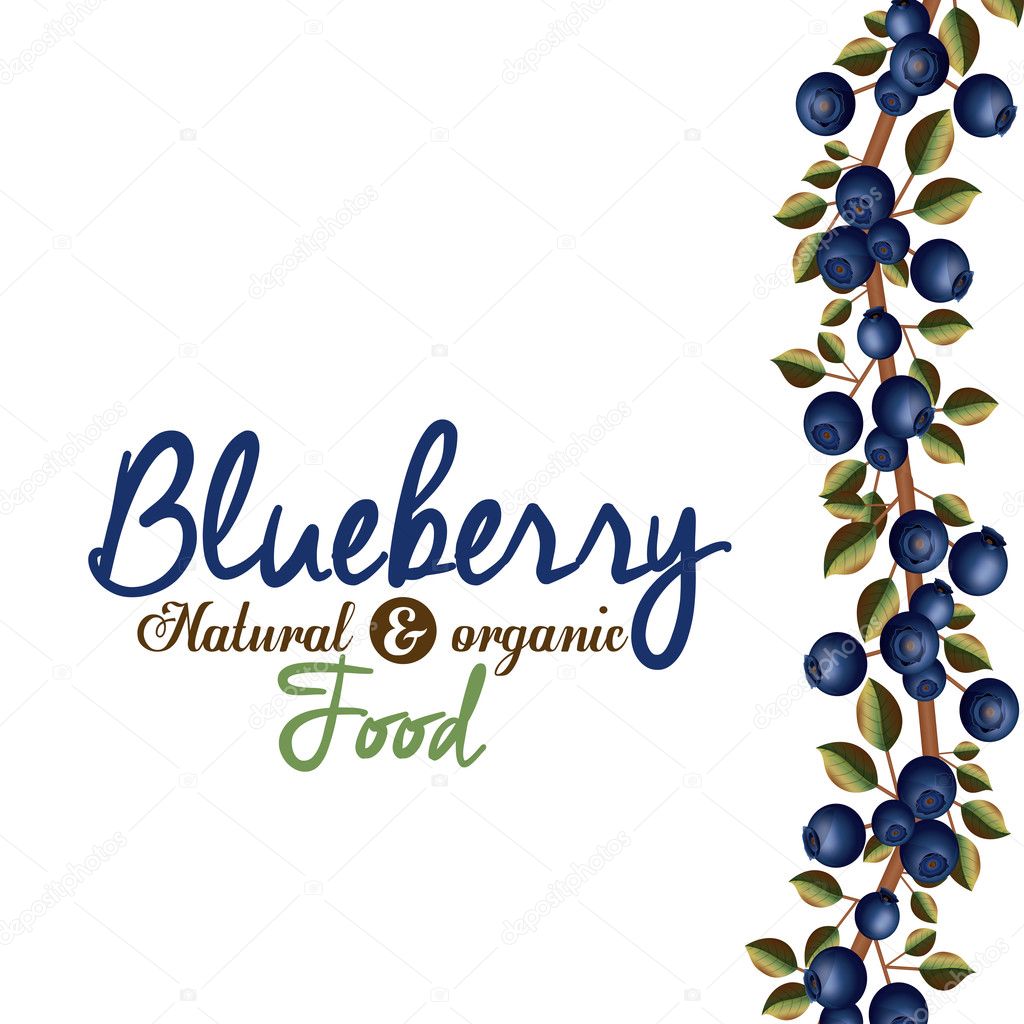 Blueberry design Stock Vector Image by ©grgroupstock #74571977